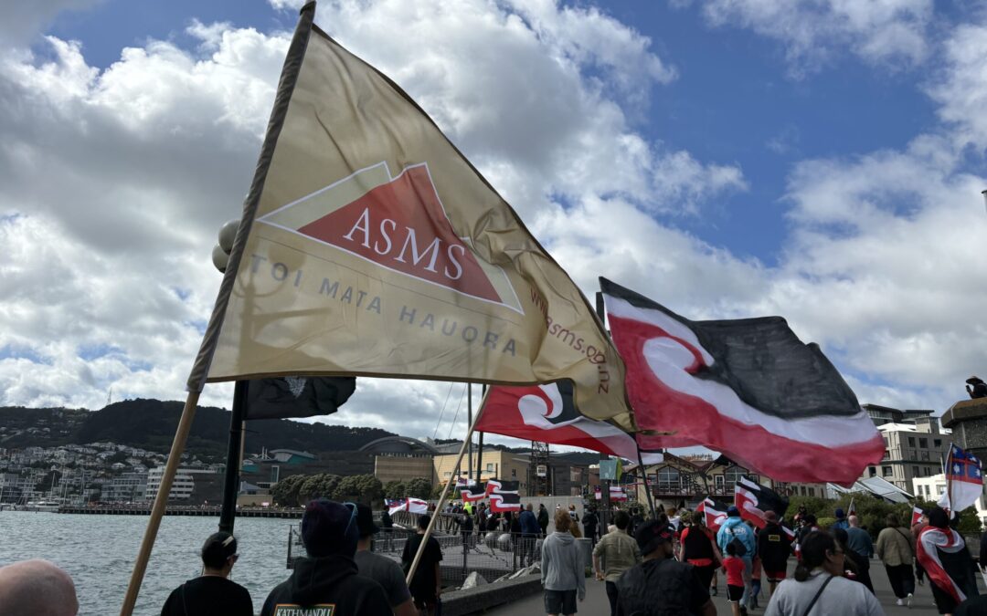 Treaty Principles ASMS Flag | ASMS